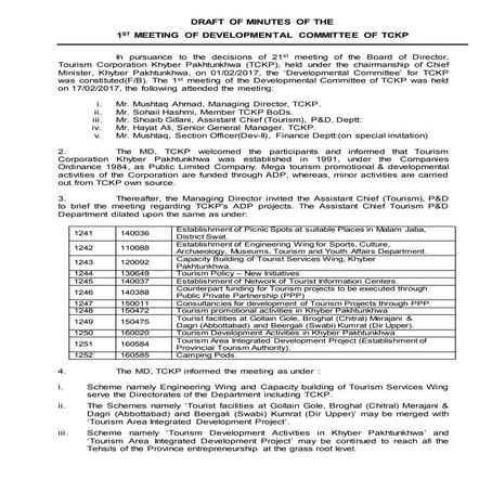 Draft of minutes developmental committee | PDF
