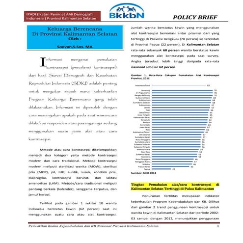 Draft policy brief sopyan 2014 | DOCX