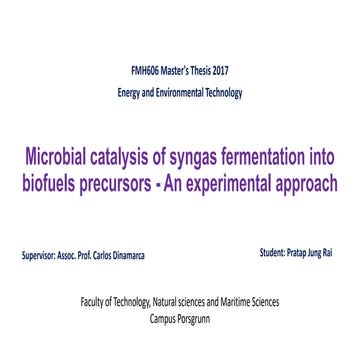 Microbial catalysis of syngas fermentation into biofuels precursors ...