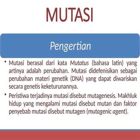 Comprehensive Overview of Genetic Mutations and DNA Repair Mechanisms ...