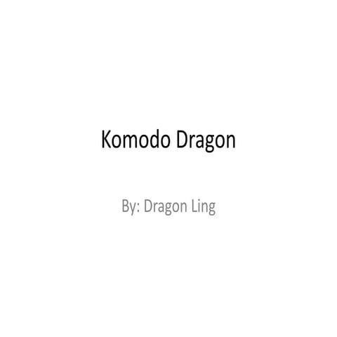 Dragon | PPT