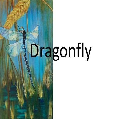 Dragonfly | PPTX