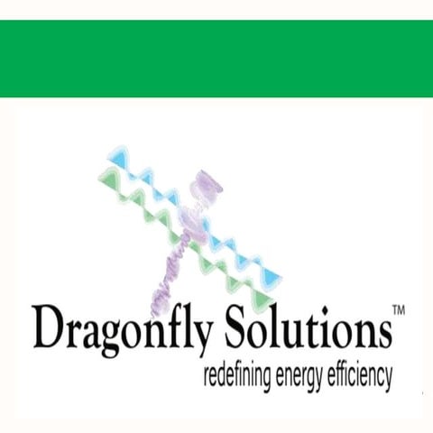 Dragonfly solutions 2013 | PPTX