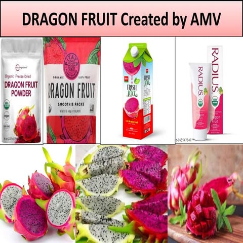 DRAGON FRUIT Created by AMV.pdf