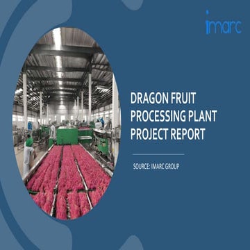 Project Report on Dragon Fruit Processing Plant | PPTX