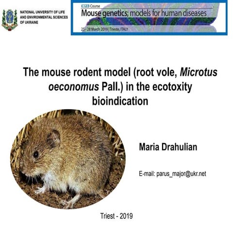 The mouse rodent model (root vole, Microtus oeconomus Pall.) in the ...