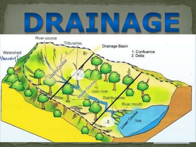drainage class 9 | PPTX