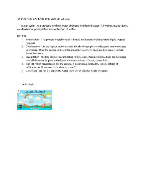 The water cycle ppt | PPT