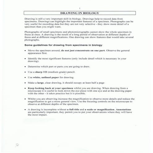 drawing_in_biology.pdf - Learn How to Draw Labs | PDF