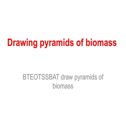 Drawing pyramids of biomass | PPTX