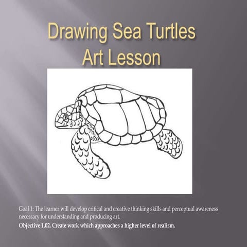 Drawing sea turtles | PPTX