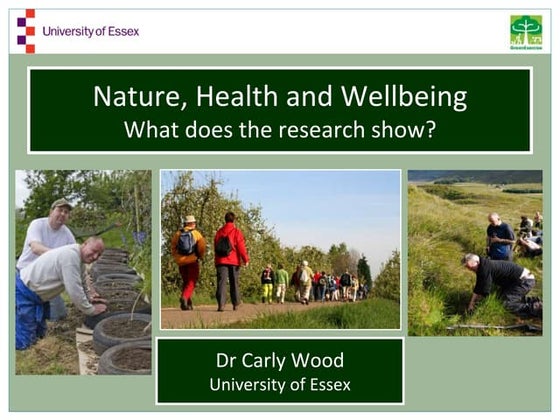 Whi u3 assessment of physical activity behaviour | PPT