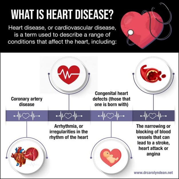What Is Heart Disease? | PDF | Heart and Cardiovascular Diseases ...