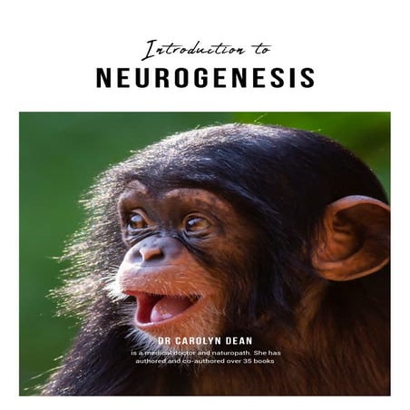 Introduction to Neurogenesis | PDF