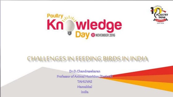 Wfp food basket | PPT