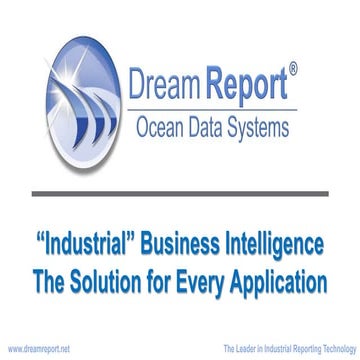 522490079-Dream-Report-User-Manual.pdf