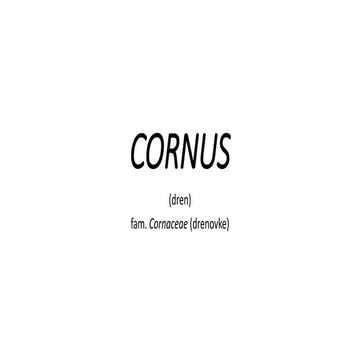 Dren- powerpoint s slikovnim gradivom, namenjen učenju in prepoznavanju ...