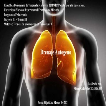 Guía de técnicas de fisioterapia respiratoria | PDF