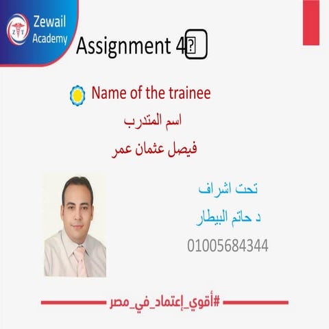 dr hatem elbitar_zewail_Assignment 4.pdf