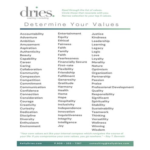 Dries Coaching & Consulting Values Sheet.pdf