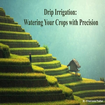 Drip Irrigation Quotes Fertigation Systems Services Brisbane | Bobs