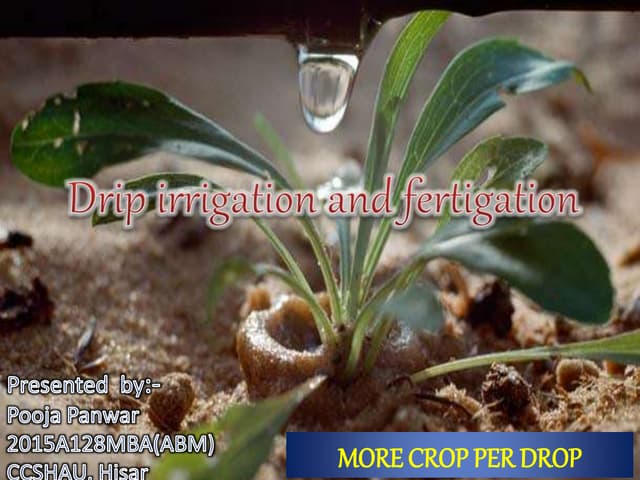 Layout of drip irrigation system | PPTX