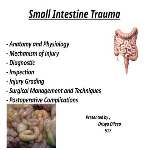 Small Intestine Trauma for surgery.......pptx