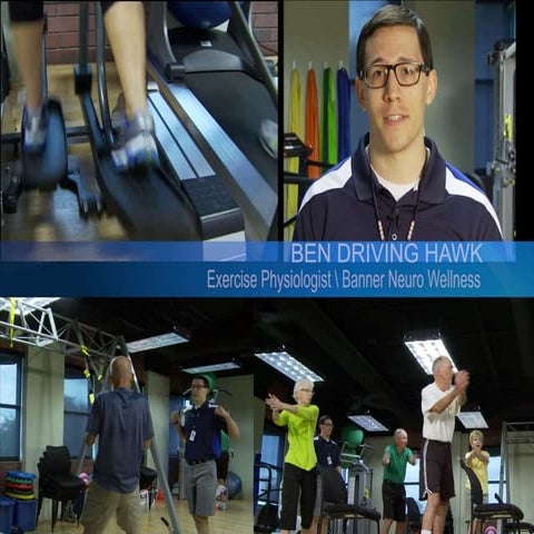 Driving hawk intro | PPT