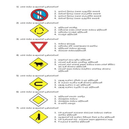 Driving licence | PDF
