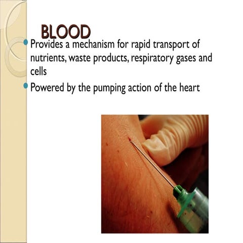 Blood anatomy and physiology | PPTX