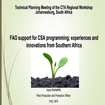 FAO Support for CSA Programming; Experiences & Innovations from ...