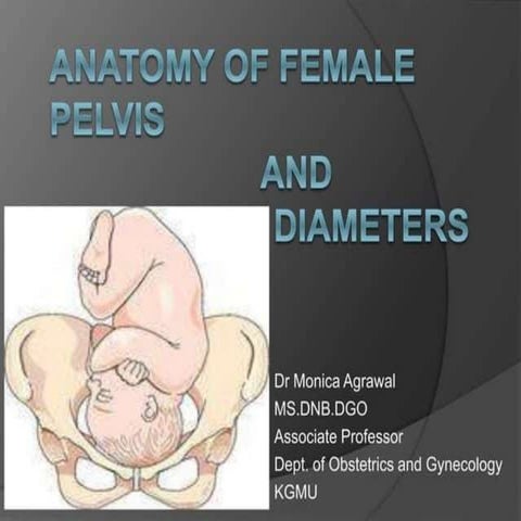 Anatomy of female pelvis ppt and its diameters | PDF