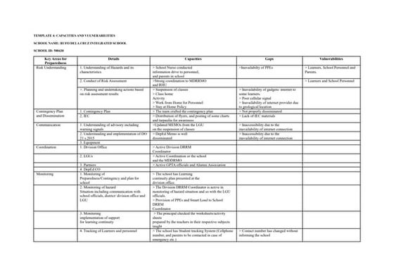 SCHOOL-DRRM-TEAM.pptx