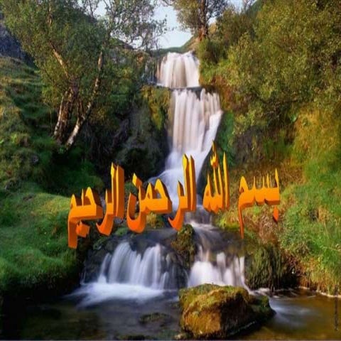 Dr mohammed bash case | PPTX