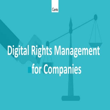 What is Digital Rights Management System and How does it work : Ameva ...