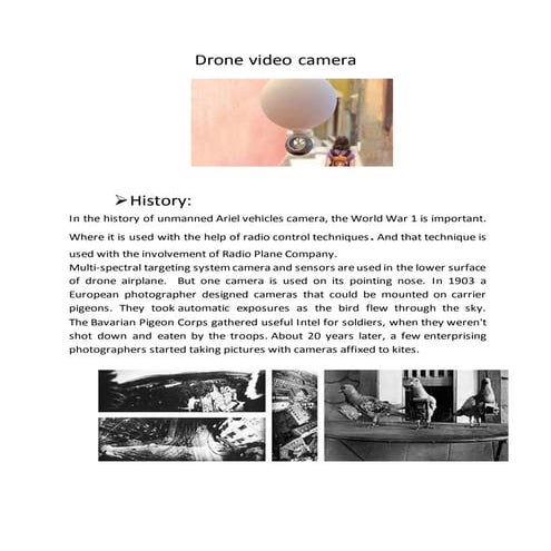 Drone | DOCX