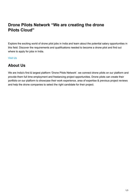 Hapy Aviation Business Plan.pdf