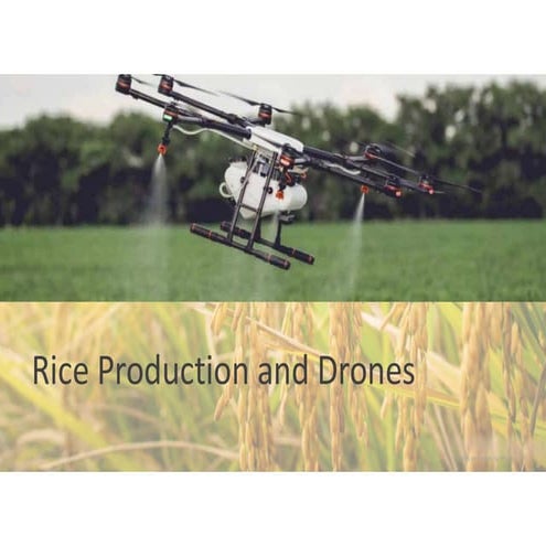 Use of Drones in Rice Production and its effects | PDF
