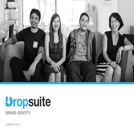 Dropsuite Brand Identity Guidelines - 2016 | PDF