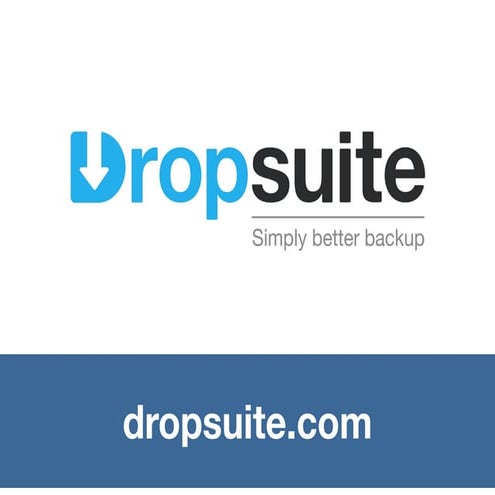 Dropsuite Demystified | PDF