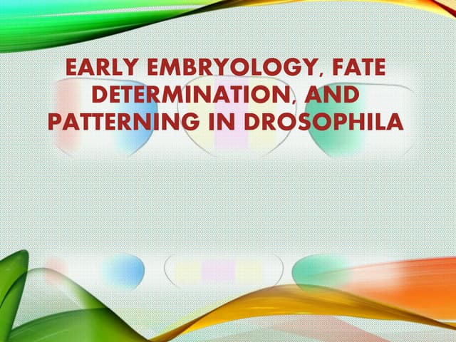 Metamorphosis in insects ppt.pptx