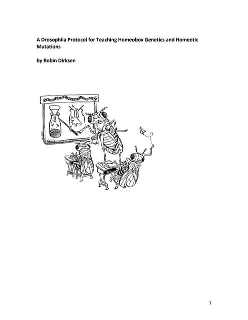 LAB REPORT DROSOPHILA MELANOGASTER | DOC
