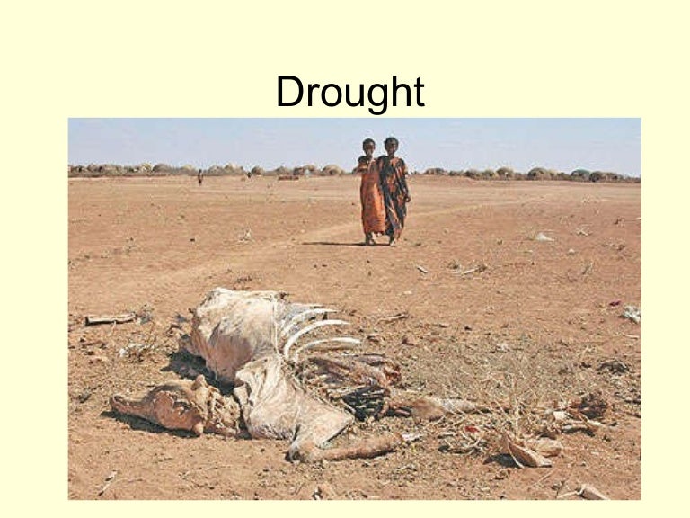 Drought Meaning