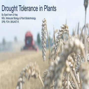 Drought Tolerence in Plants.pptx