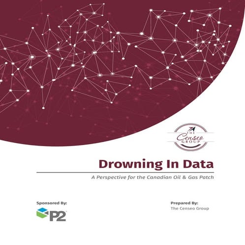 Drowning in Data | PDF