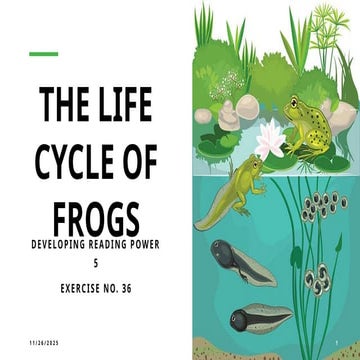 DRP ExeNo. 36 THE LIFE CYCLE OF FROGS.pptx