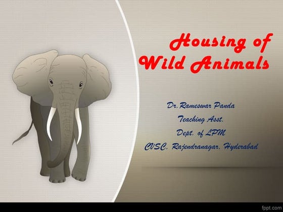 Different types of housing of animals | PPTX | Agriculture | Industries