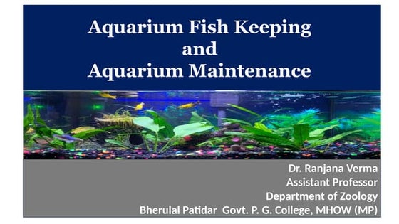 Ornamental fish culture | PPT