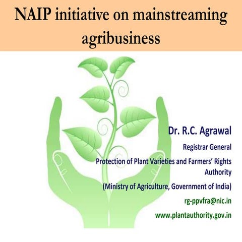 NAIP initiative on mainstreaming agribusiness | PDF