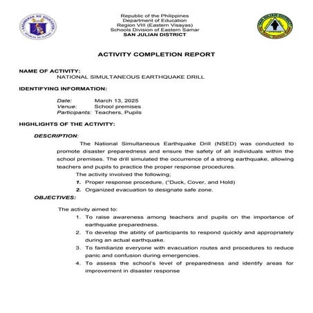 disaster risk reduction management report | DOCX